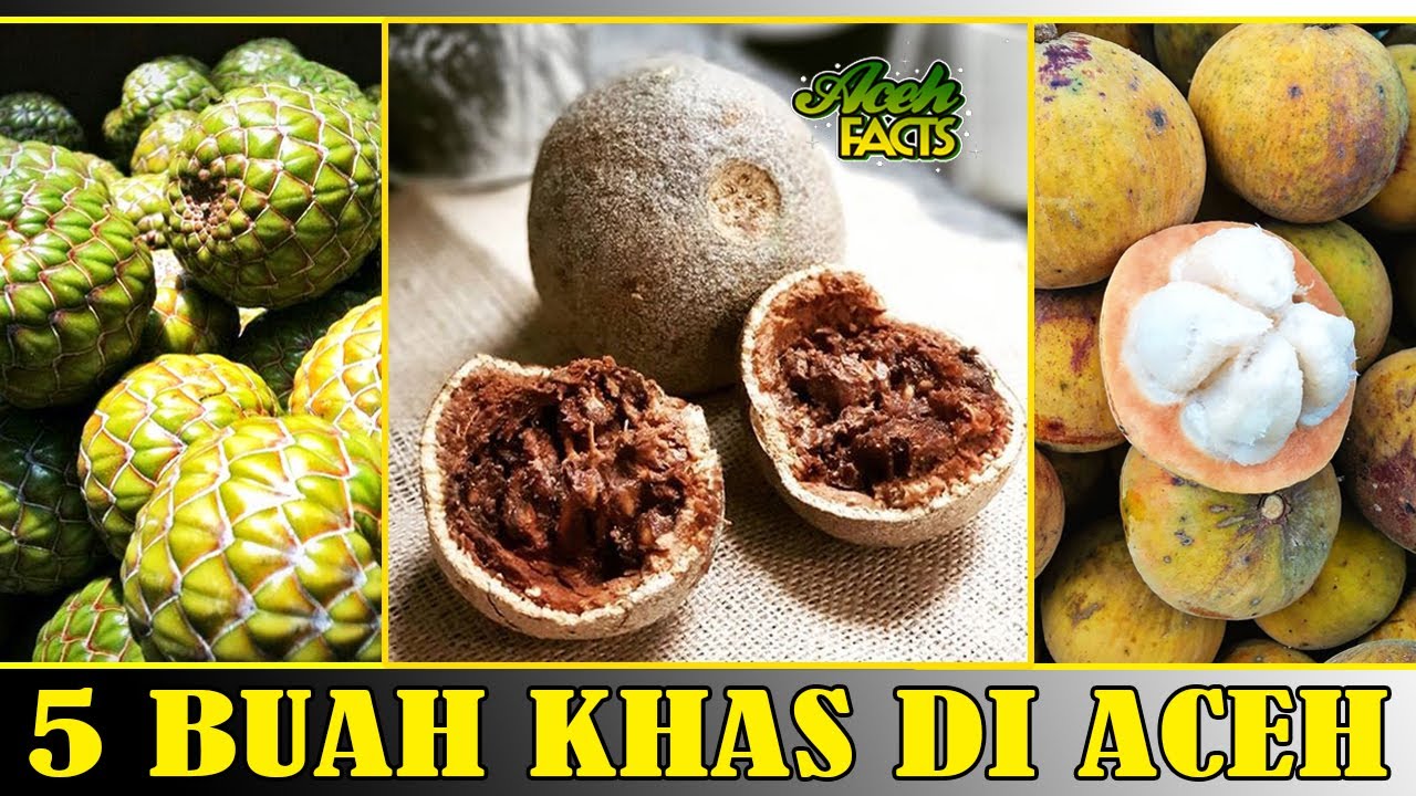 BUAH-BUAHAN KHAS ACEH YANG DULU POPULER KINI LANGKA DITELAN ZAMAN - YouTube