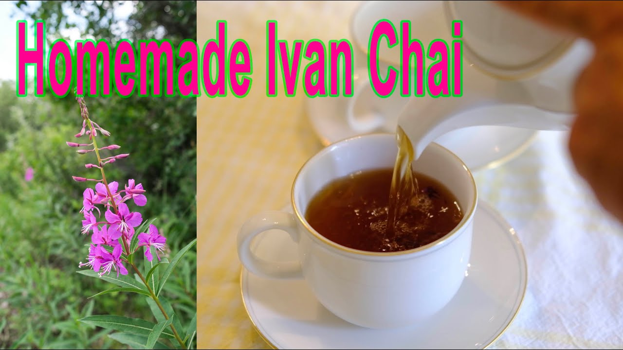 Fireweed Tea Recipe