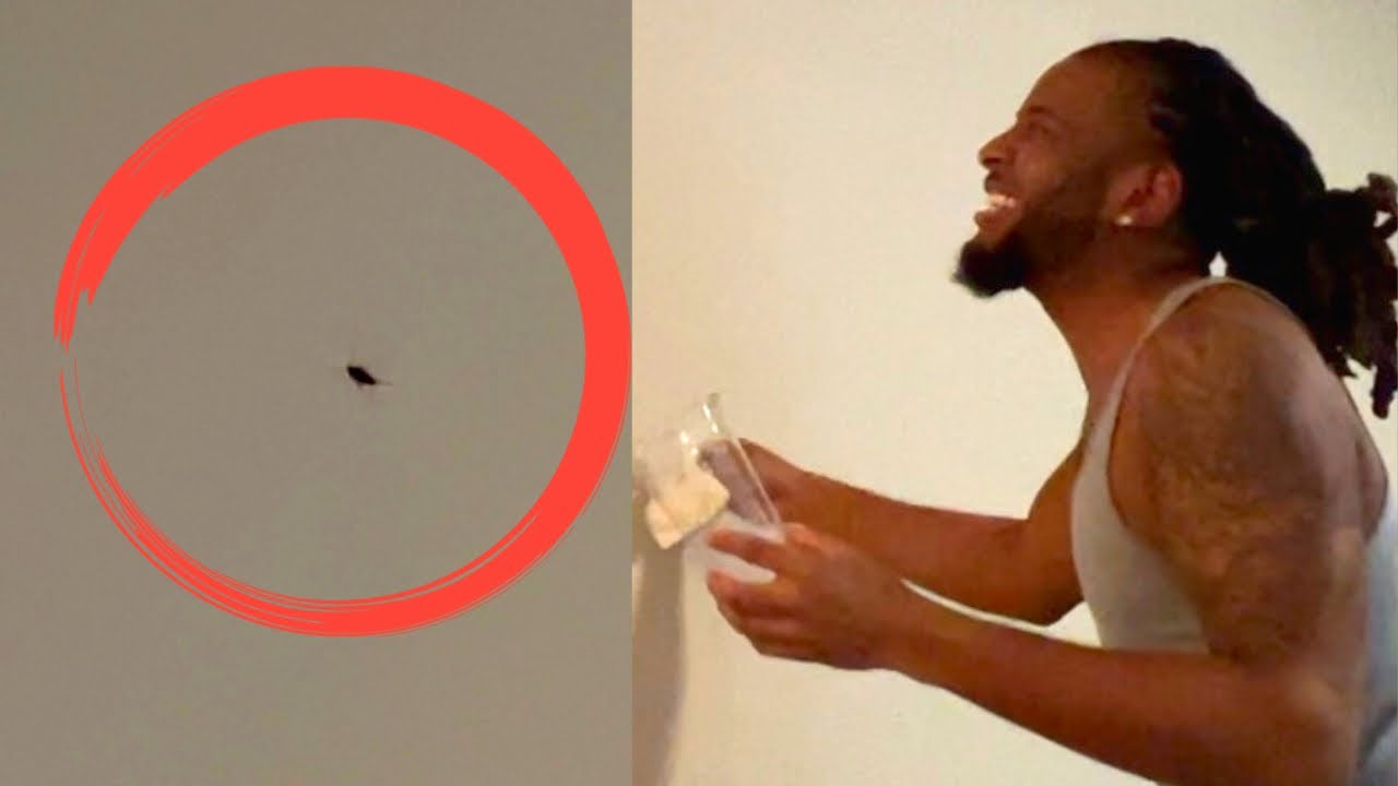 When Killing a BUG GOES WRONG!!! - YouTube