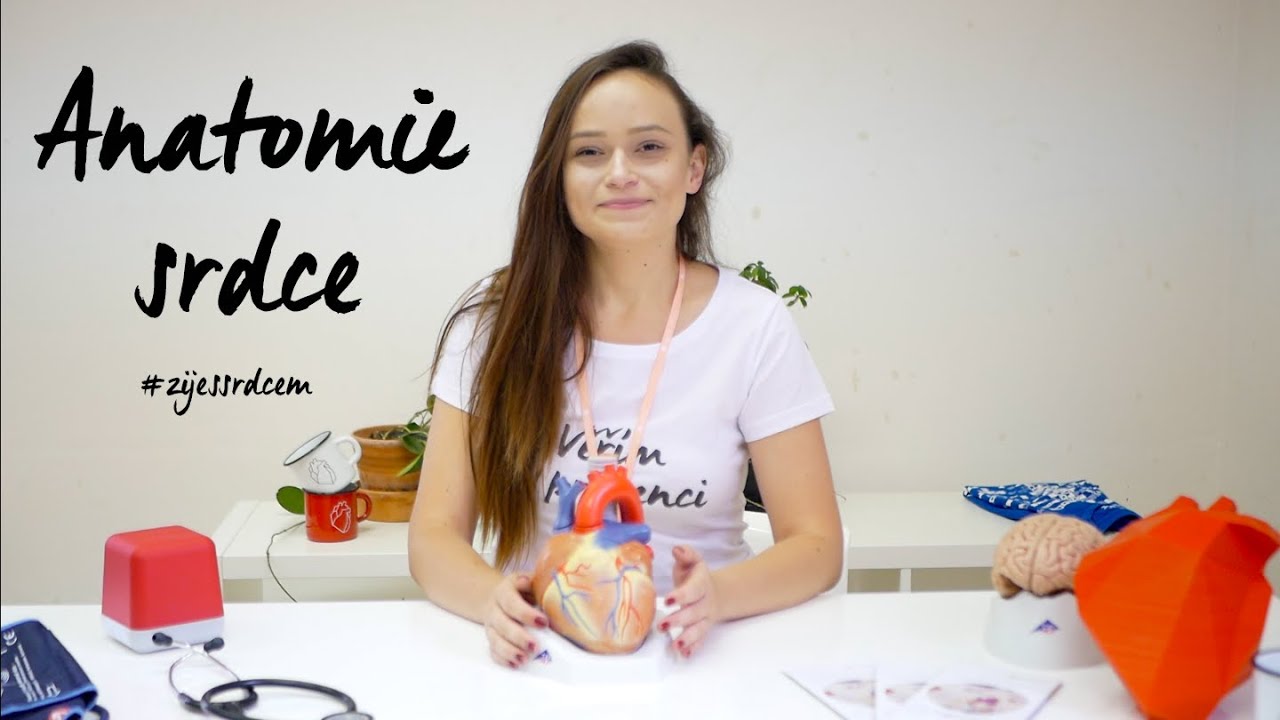 Anatomie lidského srdce | #zijessrdcem - YouTube