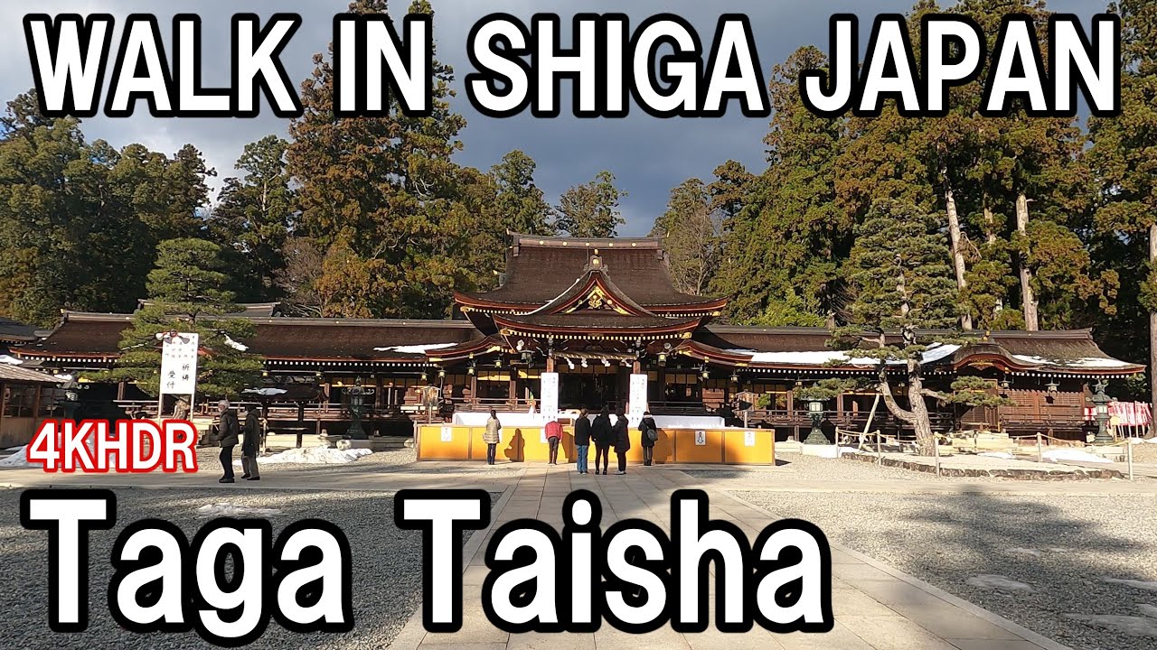 【4K】Walk to Taga Taisha shrine in SHIGA in JAPAN. No selfies, No ...
