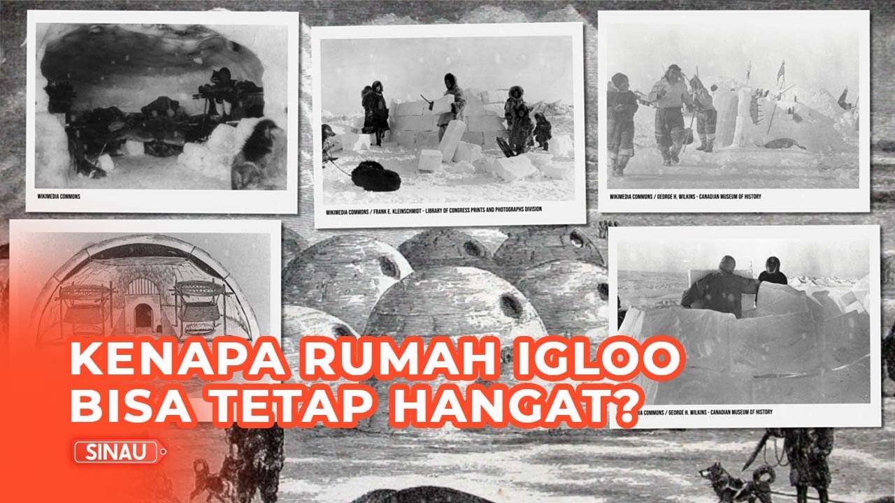 Rumah Igloo Khas Suku Eskimo Terbuat dari Salju, Kenapa Bisa Tetap ...