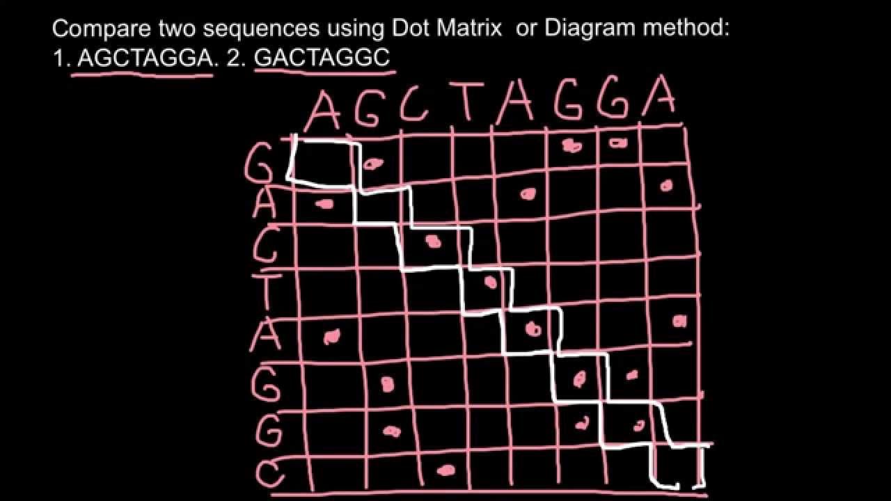 Bioinformatics: Dot Matrix or Diagram method explaned #1 - YouTube