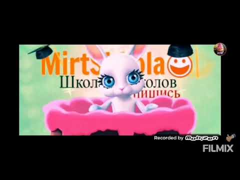 Ad günün mübarək Camal