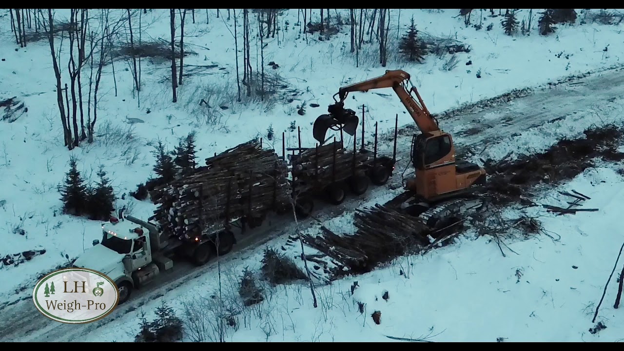 Timber logging truck Canada - YouTube