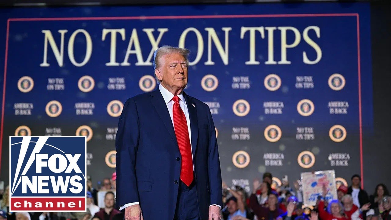 This is just the Democratic playbook: GOP lawmaker - YouTube