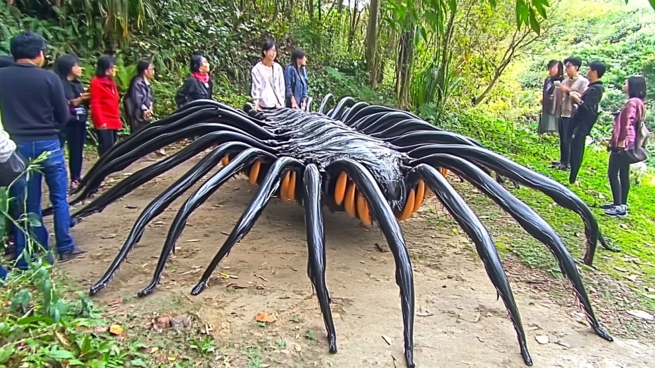 Strange Creatures That Got Caught On Camera And Shocked the Whole World ...