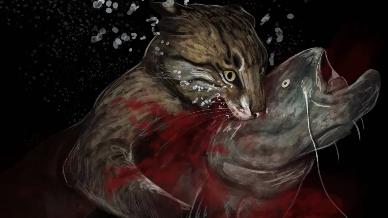 This Cat Is Evolving Into A Fish - YouTube