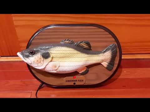 Singender Fisch (Singing Fish) - YouTube