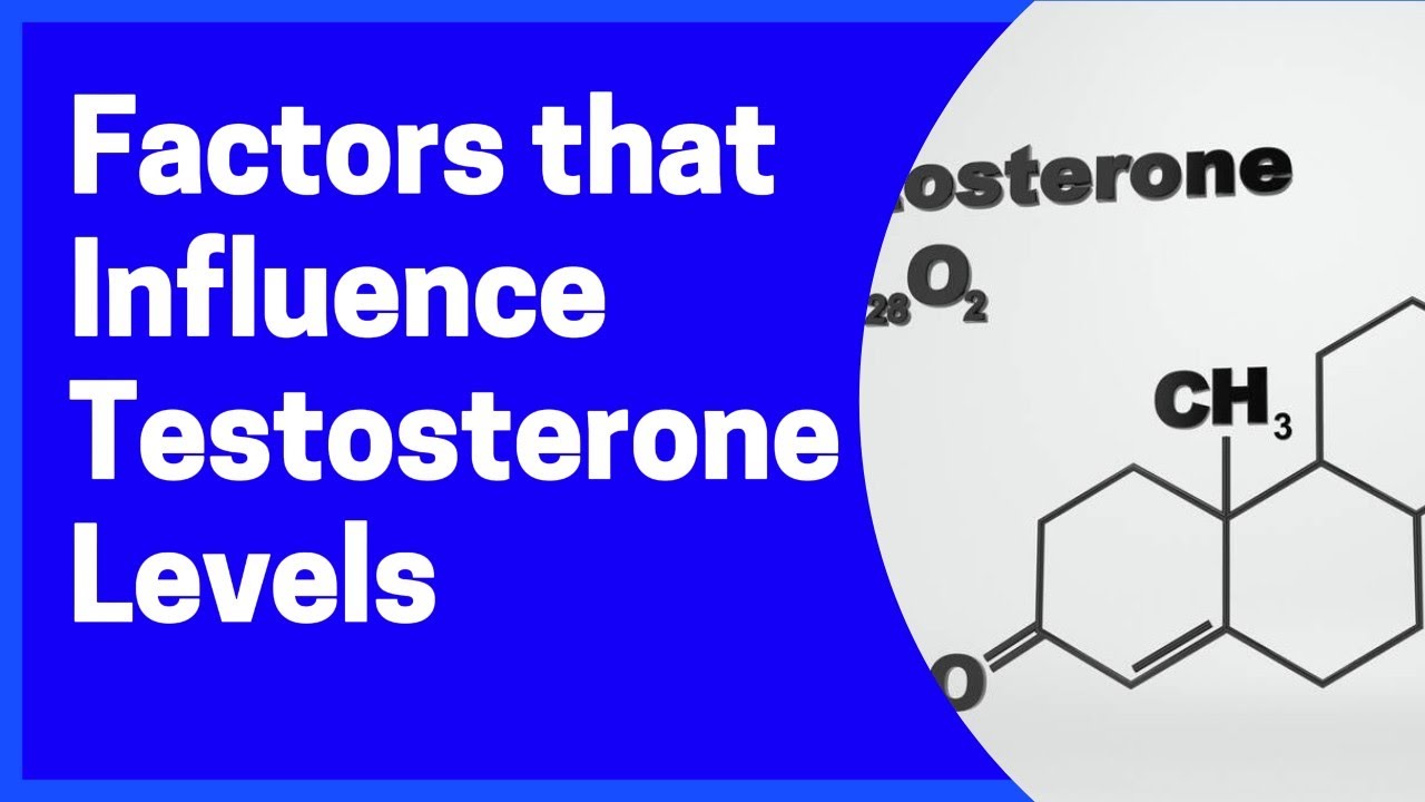 Factors that Influence Testosterone Levels - YouTube