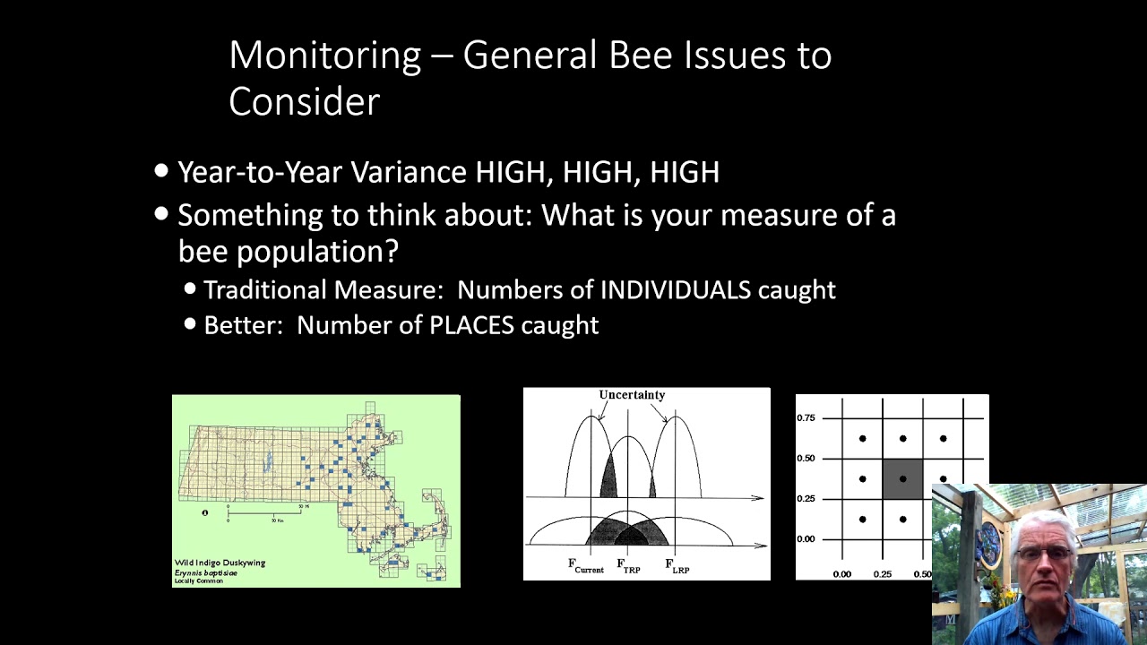 Sam Droege on a US National Native Bee Monitoring Plan - YouTube