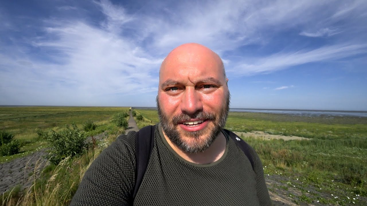 Robben am Ende der Elbe - YouTube