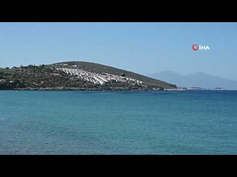 Kuşadası yangın