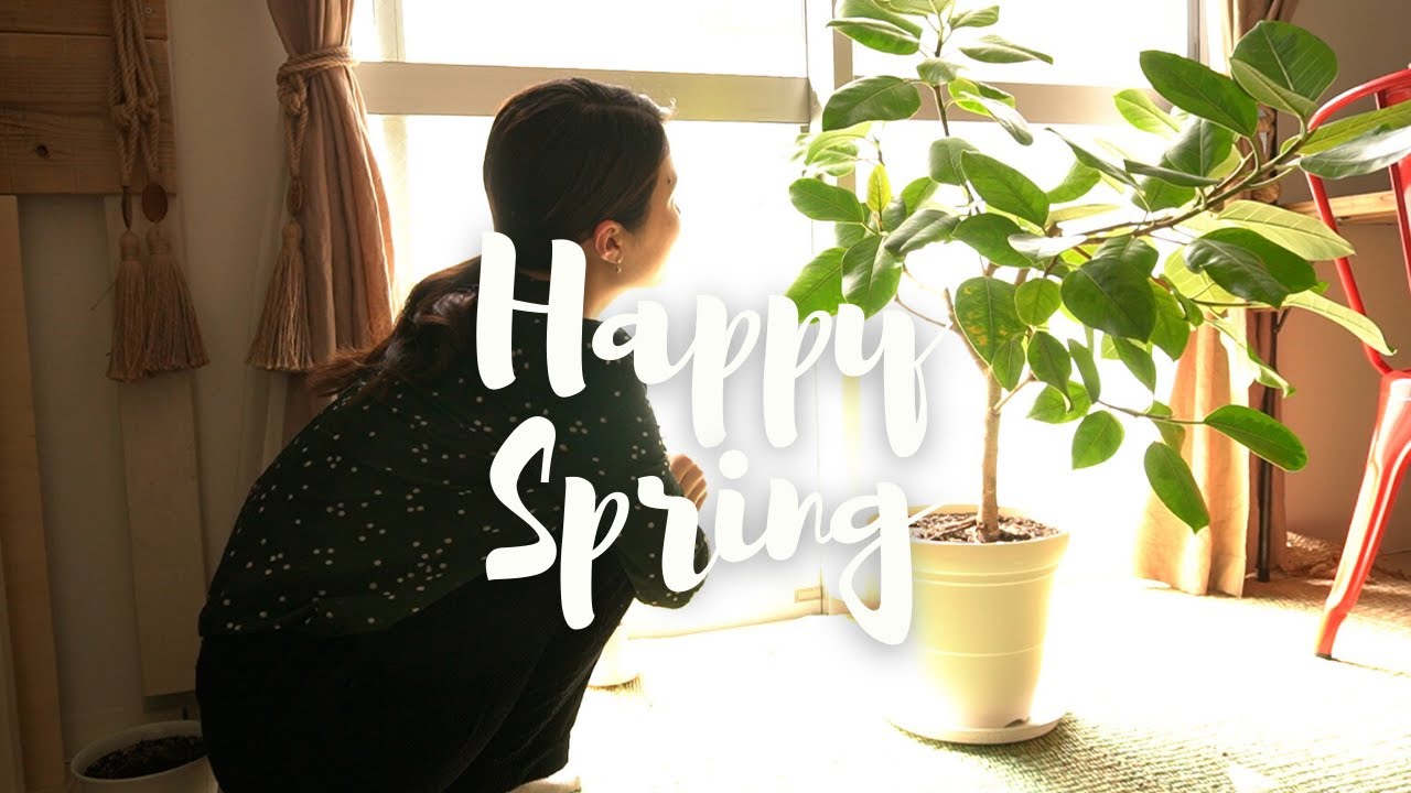 A relatively quiet spring day🌸 | Slow living as a usual vegan in Japan ...
