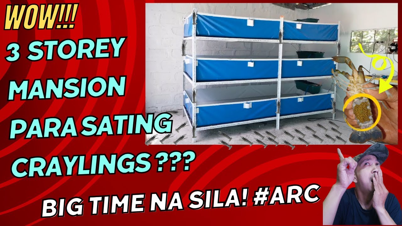 Huge 3 Layer Trapond ARC Craylings + Crayfish Farm Exclusive Update ...