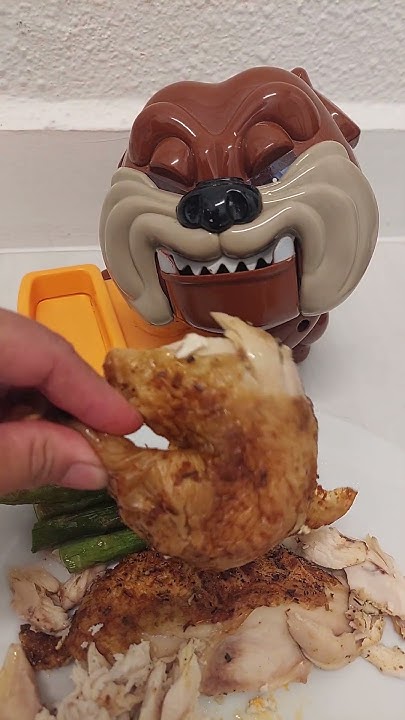 TRENDING ASMR MADDOG SO HUNGRY WANT CHICKEN #asmr #maddog #satisfying #trending #shorts - YouTube