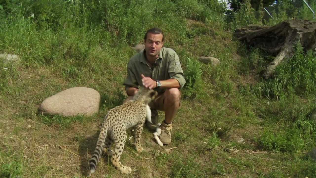 Ny DVD: Årets Gang i Ree Park - YouTube