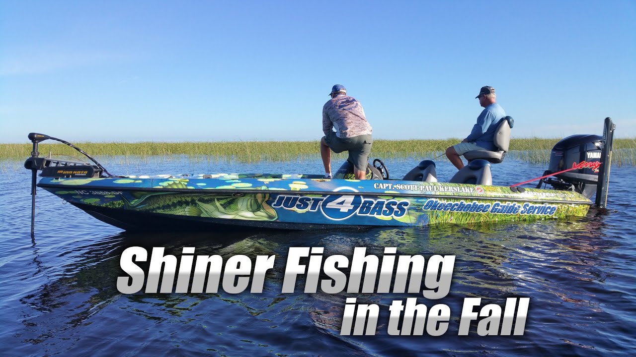 Lake Okeechobee Shiner Fishing in the Fall - YouTube