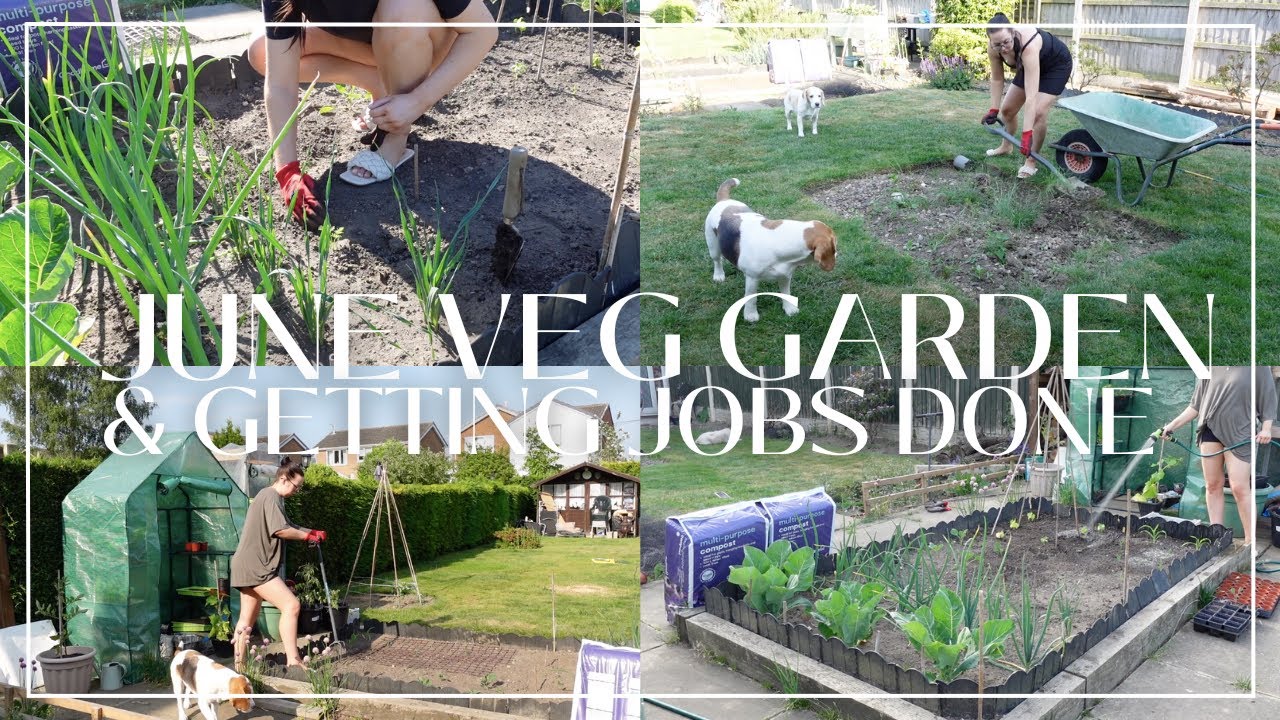 JUNE VEGETABLE GARDEN TOUR | getting jobs done in the garden - YouTube