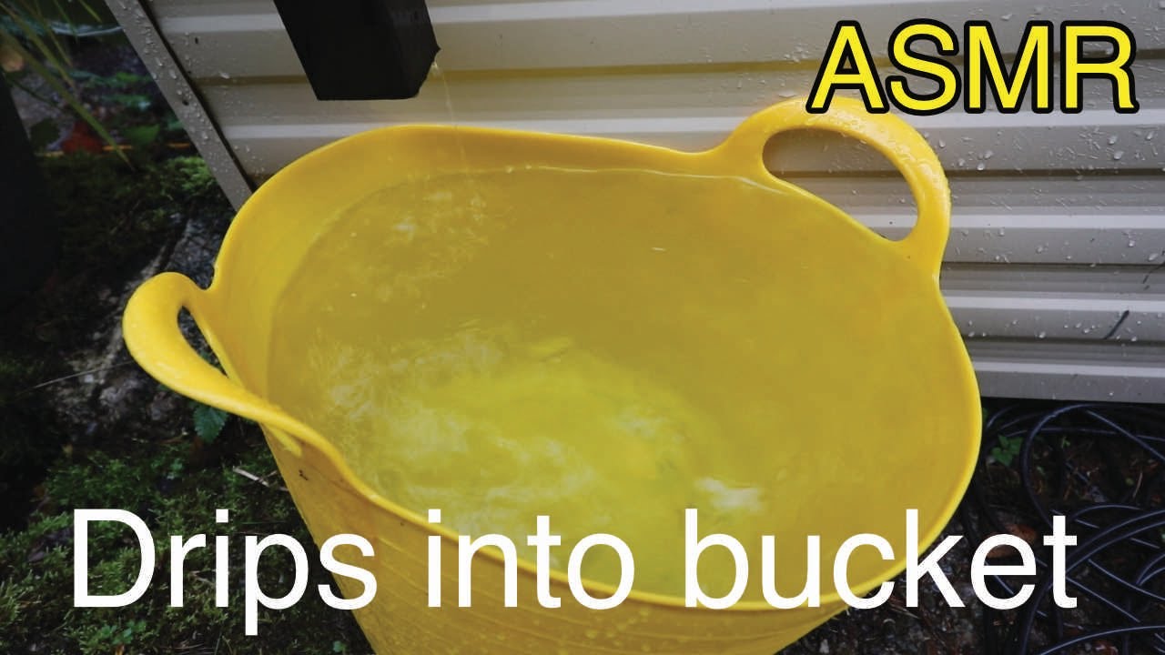 ASMR 4k light rain dripping into bucket - YouTube