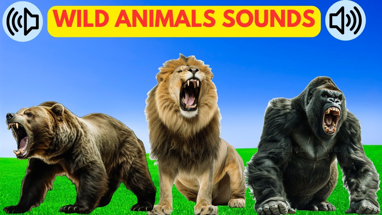 Top 10 Wild Animals Sounds for kids | Fun Facts | Educational Video for ...