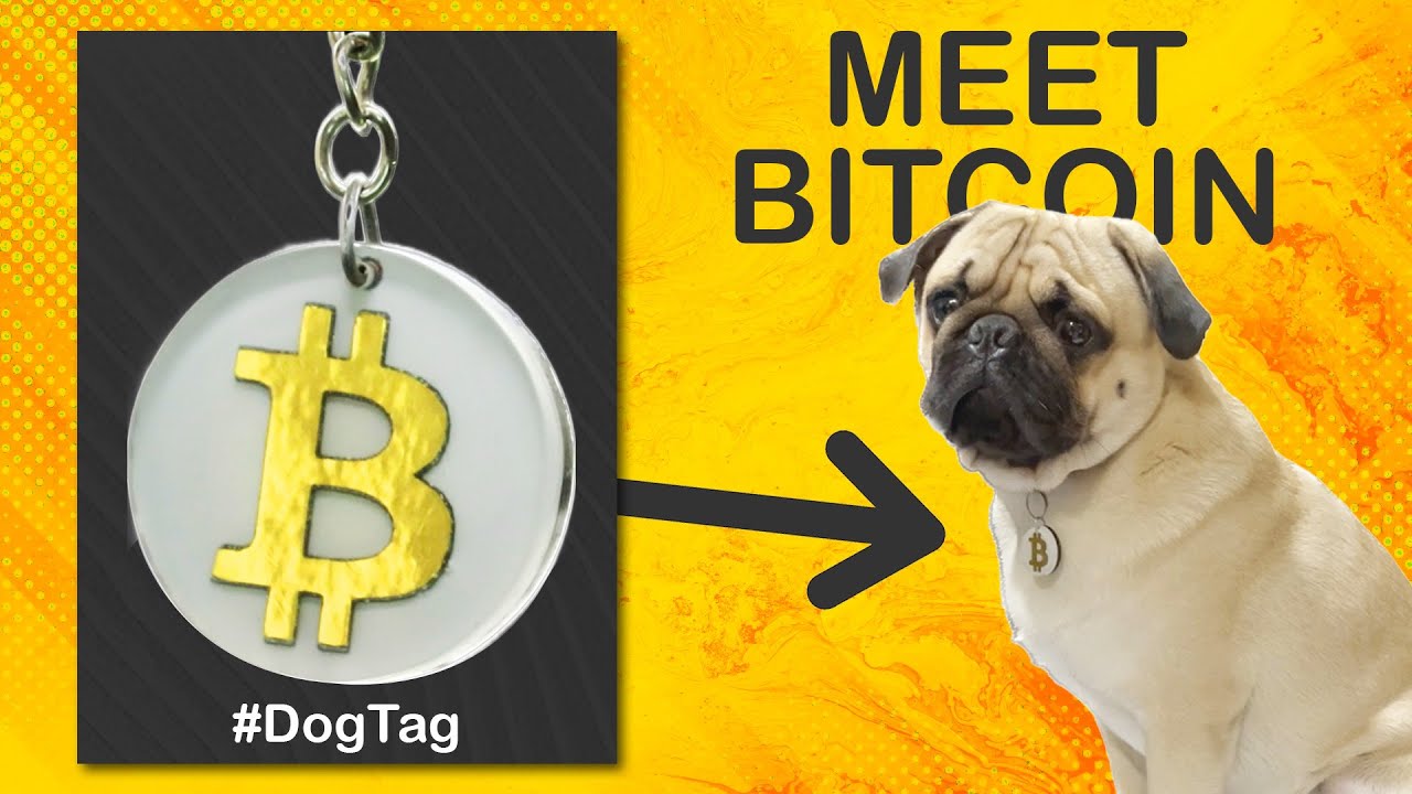 how i make dog tag for my dog bitcoin 🐾 #resinart #epoxyart #doglover # ...