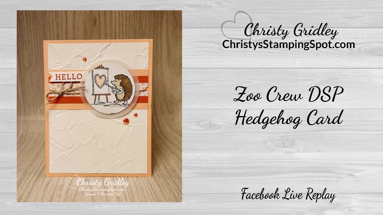 Zoo Crew DSP Hedgehog Card - YouTube