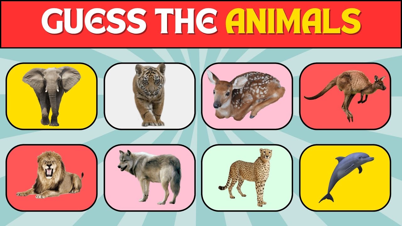 "Animal Guessing Game: Knowledge of Wildlife and Have a Blast Together ...
