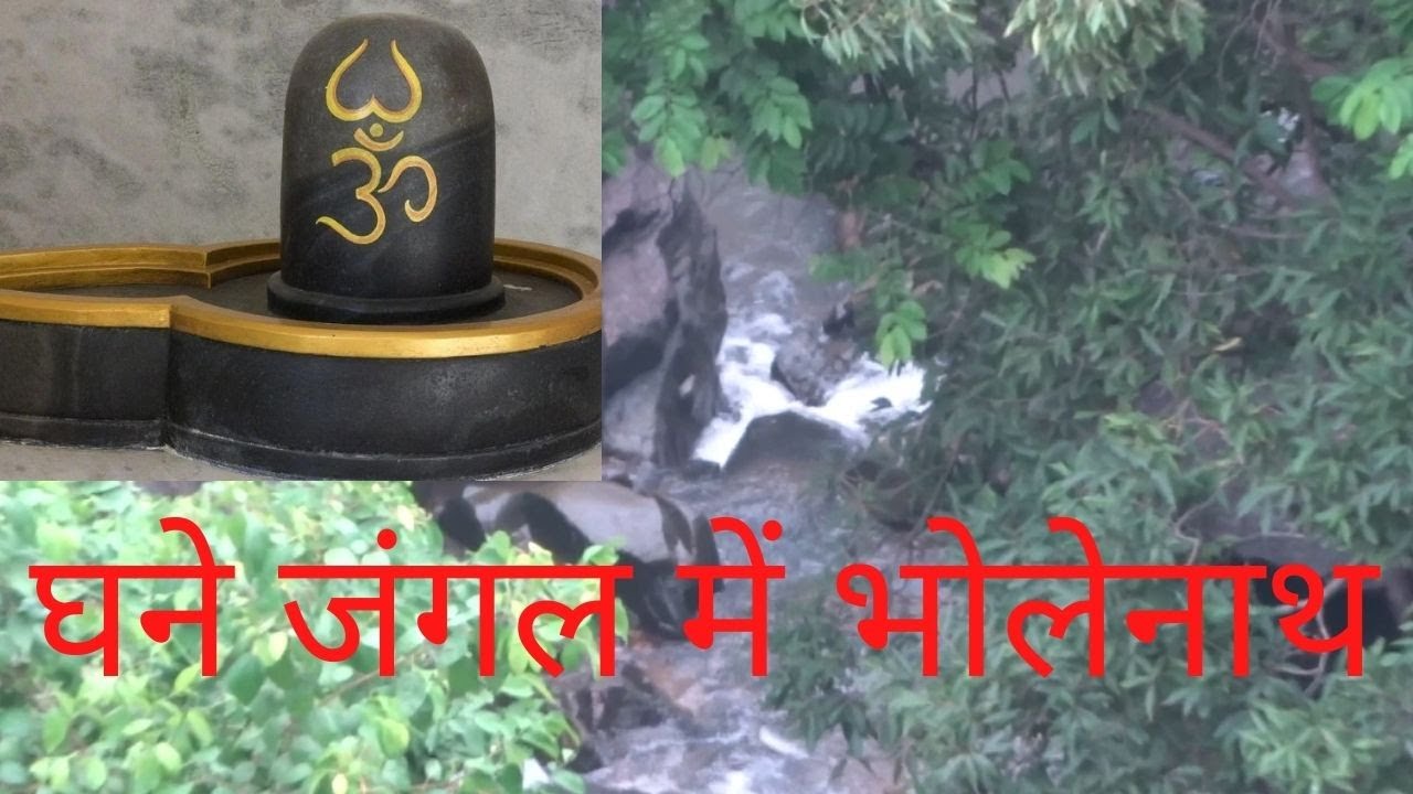 keri ke mahadev | घने जंगल में भोलेनाथ | jungle me bholenath | Dahod ...