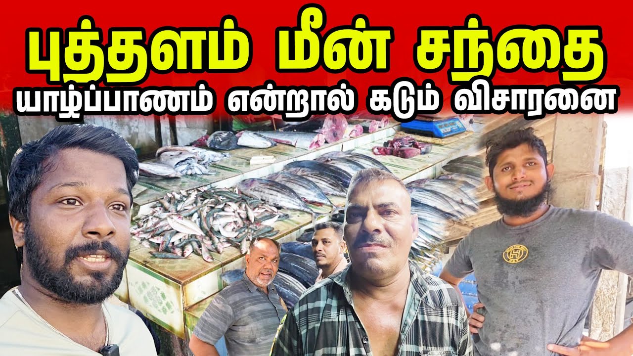 இலங்கை சந்தையில் கடும் விசாரணை | Puttalam Fish Market | Jaffna Suthan ...