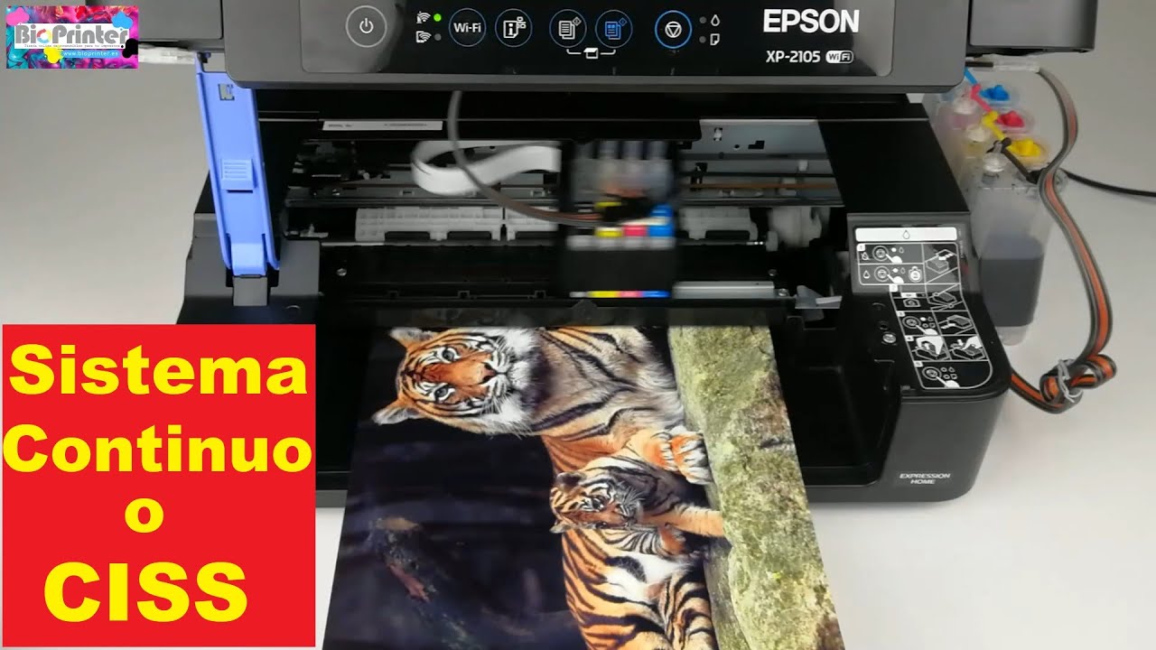 QUE ES UN SISTEMA CONTINUO o CISS INSTALADO EN UNA IMPRESORA EPSON XP ...