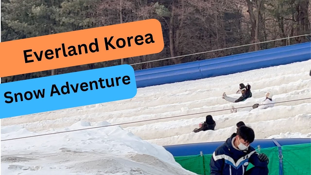 Snowbuster Spectacular at Everland Park Korea: Winter Magic Unleashed ...