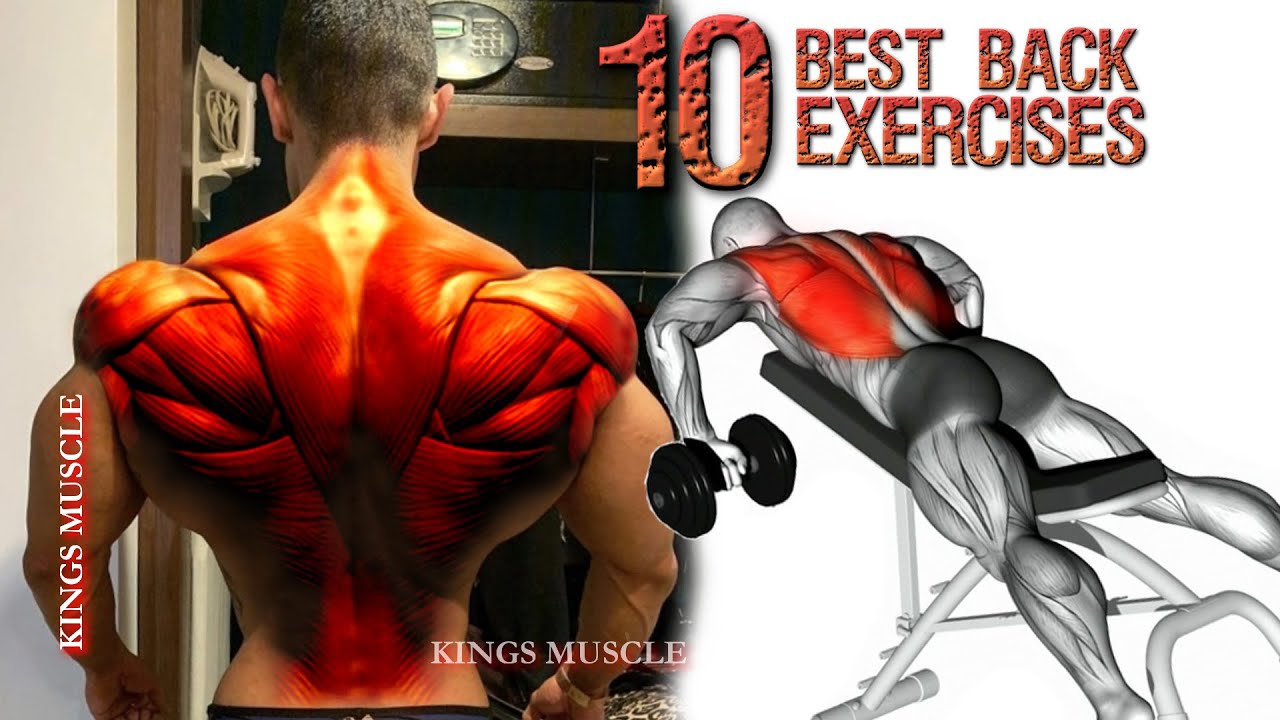 10 Exercises To Build A Big Back Effective Exercises Youtube
