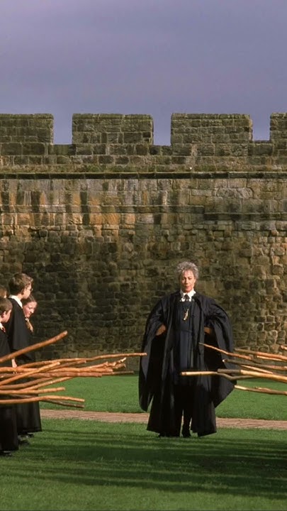 Potterhead Harrypotter Harrypotterfan Hogwarts Potterverse I Meant To Do Potions Youtube