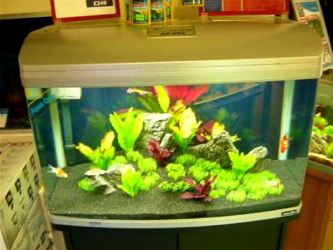 Aquajardin Gloucester Aquaone Aquastyle 850 Aquarium - YouTube
