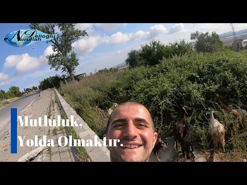 MUTLULUK NEDİR? NASIL MUTLU OLABİLİRİZ? | NELERİ YER VE YAPARSAK MUTLULUĞUMUZ ARTAR?