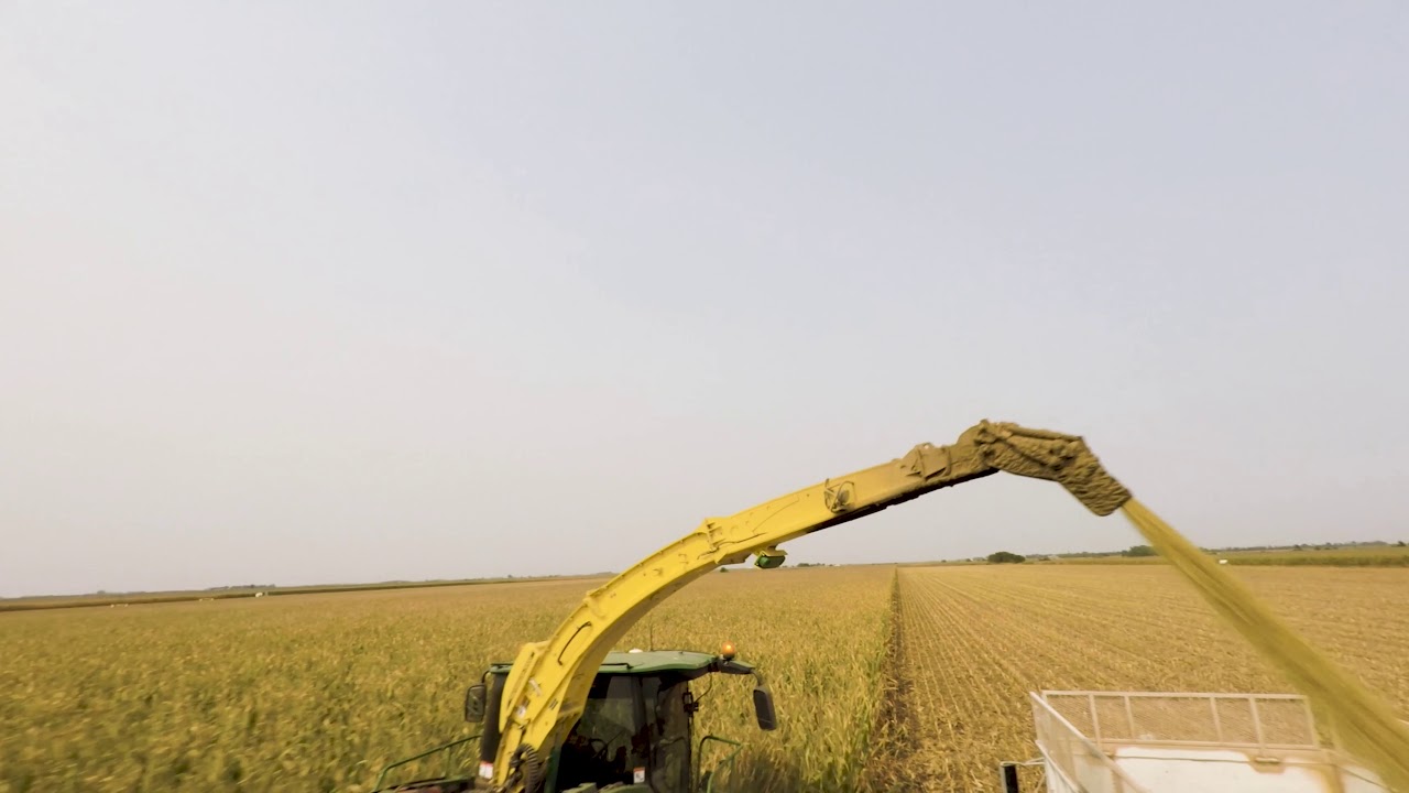 T-L From Planting to Harvest - YouTube