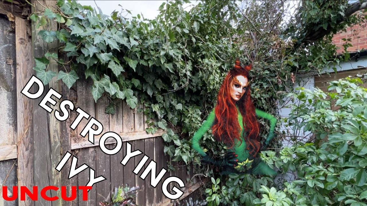 Overgrown Ivy Nightmare: Our Epic Battle to Reclaim This Yard Space ...