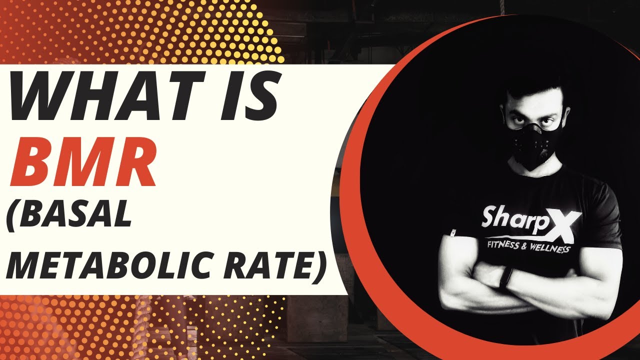 What Is BMR | Basal Metabolic Rate | BMR Formula - YouTube