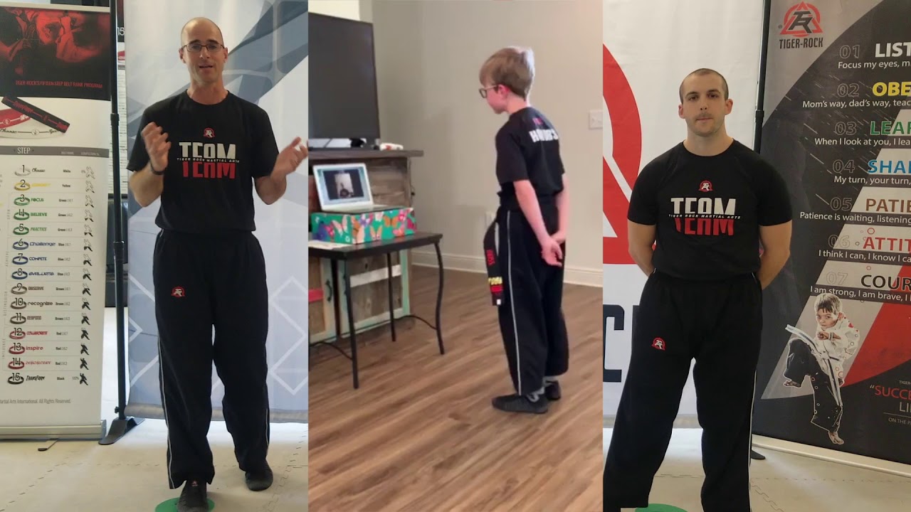 COME EXPERIENCE TIGER ROCK'S VIRTUAL CLASSES - YouTube