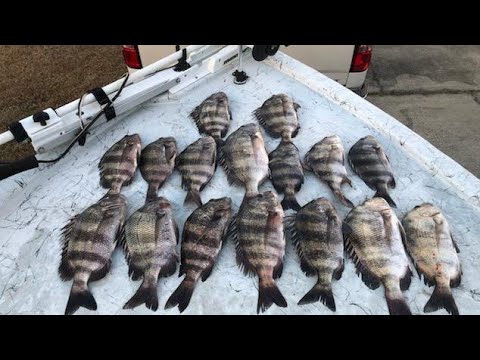 Sheepshead Fishing In Mobile Bay, Theodore Industrial Canal. - YouTube