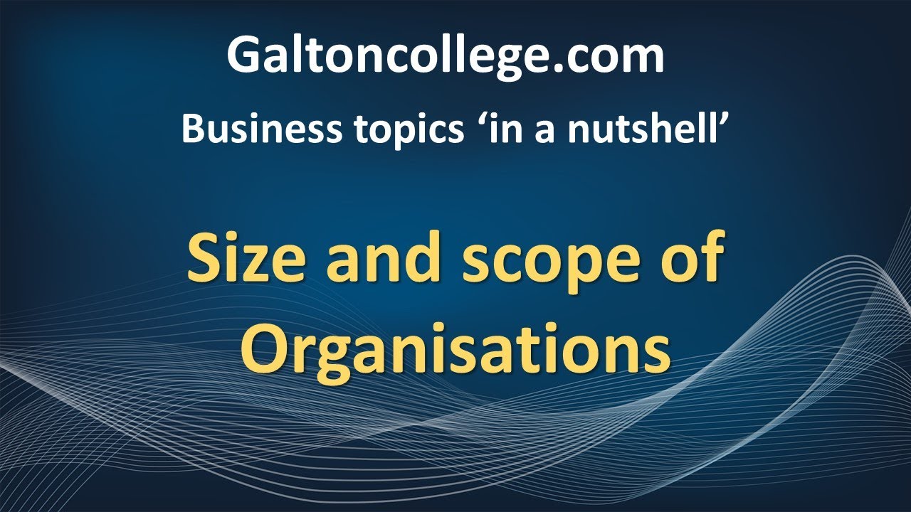 Size and Scope of Organisations - YouTube
