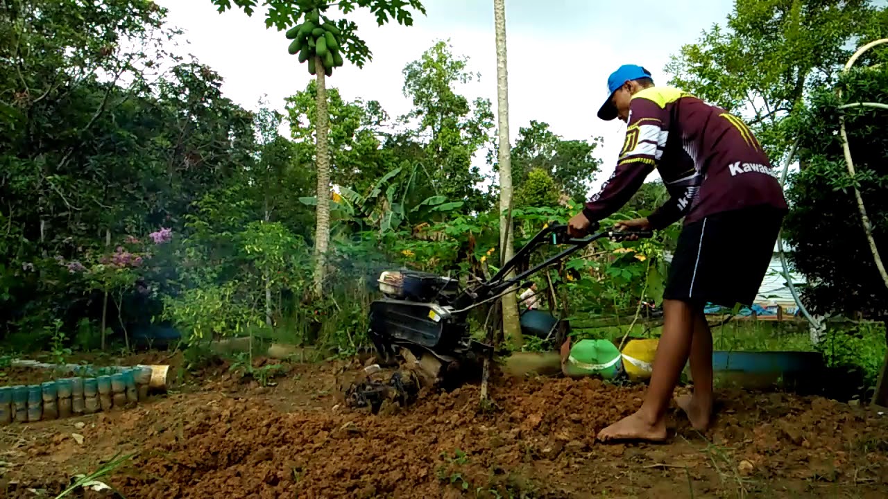 Pengoperasian hand traktor rotary - YouTube