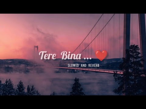Tere Bina - Slowed and Reverb Full Song - YouTube