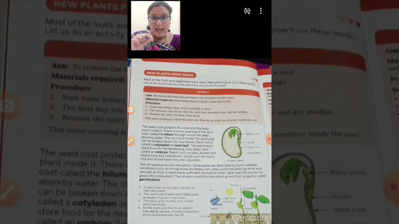 Class 5 - Chapter 1 Science (Growing plants) part 1 - YouTube