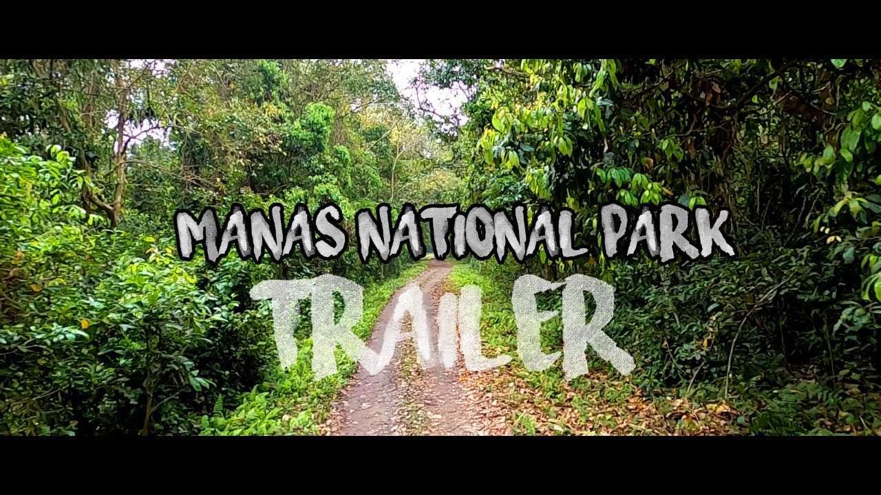 Trailer..!! Manas National Park - YouTube