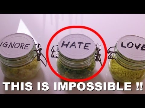 THE IMPOSSIBLE RICE EXPERIMENT (Dr Masaru Emoto Hado's Healing) - YouTube