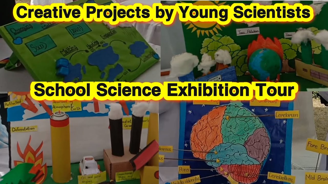School science exhibition tour | Creative Projects by Young Scientists ...