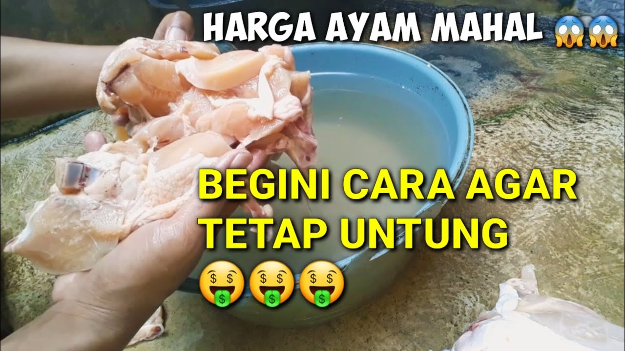HARGA AYAM MAHAL || CARA POTONG AYAM KFC AGAR TETAP UNTUNG TANPA ...