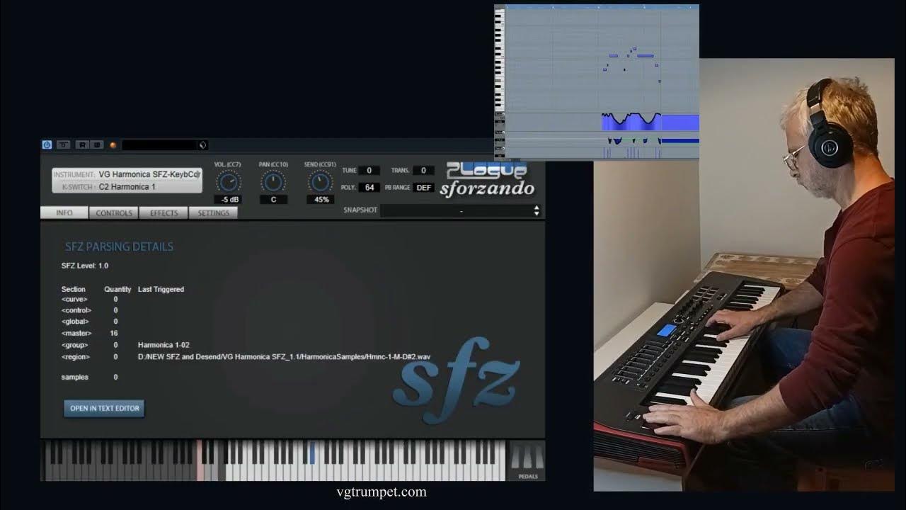 VG Harmonica SFZ sound library for free Sforzando and Aria Player. VST plugin. - YouTube